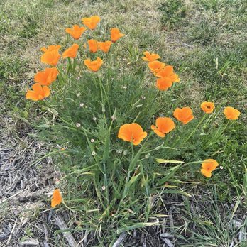 ZINC HOUSE FARM - Updated December 2025 - 36 Photos & 26 Reviews ...