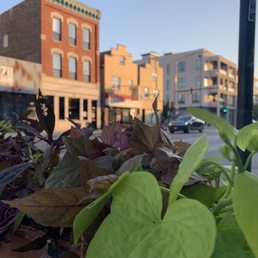 FORBIDDEN ROOT - Updated December 2025 - 886 Photos & 642 Reviews ...