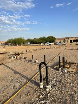 JOHNNY TERMITE - Updated August 2025 - 42 Photos & 12 Reviews ...