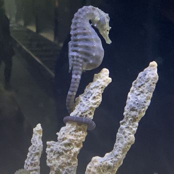 BELLE ISLE AQUARIUM - Updated June 2025 - 418 Photos & 95 Reviews - 3 ...