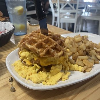 TASTY BISCUIT - Updated March 2025 - 152 Photos & 109 Reviews - 372 S ...