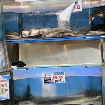 JMART - Updated June 2025 - 358 Photos & 177 Reviews - 136-20 Roosevelt ...