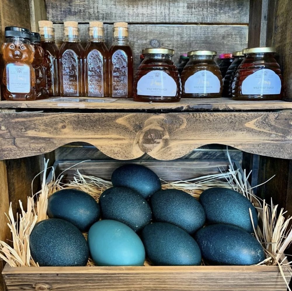 WILD WEST RV RANCH - Updated December 2025 - 42 Photos & 32 Reviews ...