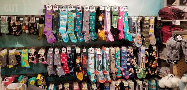 ATTIC SALT - Updated October 2024 - 16 Photos - 8405 Park Meadows ...