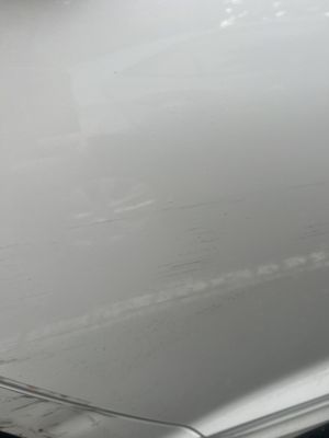 RICK CASE HYUNDAI PLANTATION - Updated December 2025 - 98 Photos & 431 ...