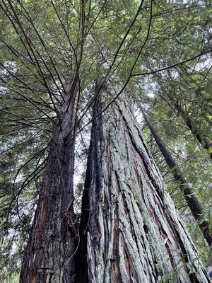 BROOKTRAILS GOLF COURSE - Updated October 2025 - 10 Photos - 24860 ...