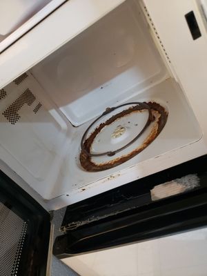 CALICO MOTEL - Updated September 2024 - 40 Photos & 15 Reviews - 500 S ...