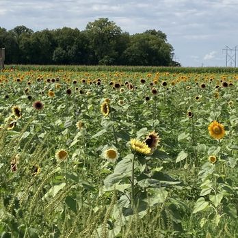 STUCKEY FARM ORCHARD AND CIDER MILL - Updated September 2025 - 186 ...