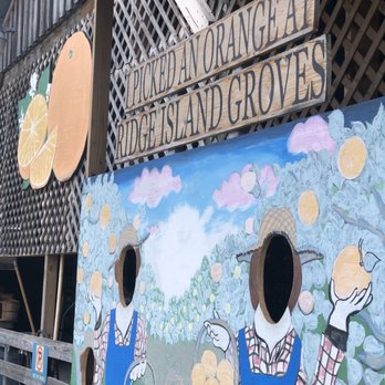 RIDGE ISLAND GROVES - Updated December 2025 - 192 Photos & 33 Reviews ...