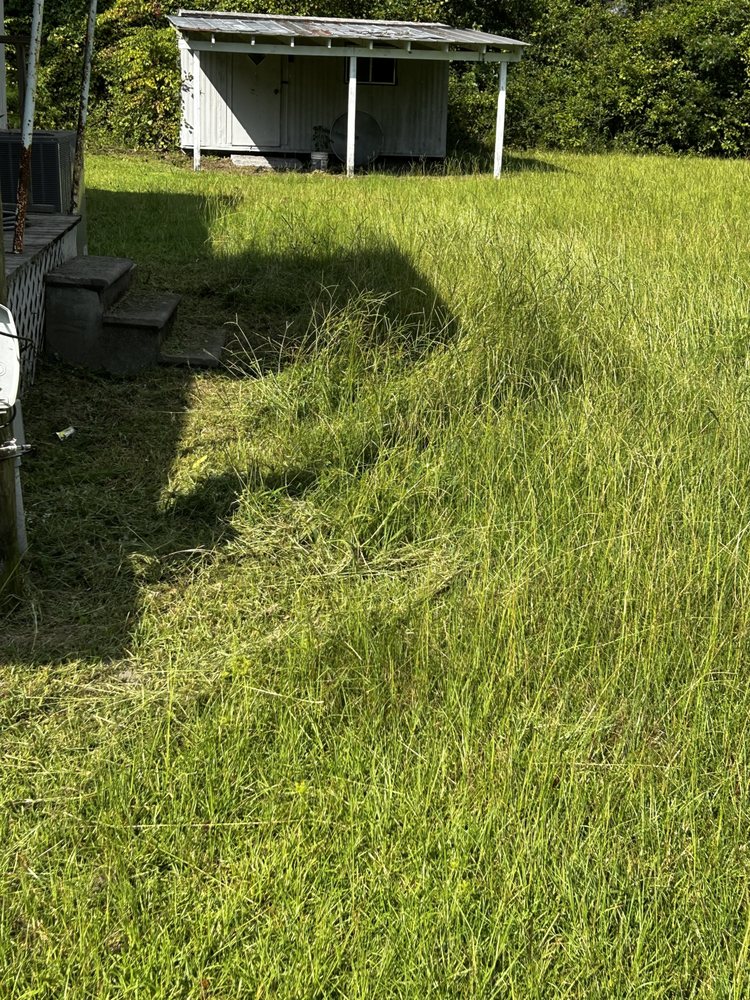 TURF TAMERS - Updated August 2024 - 69 Photos - Rincon, Georgia - Lawn ...