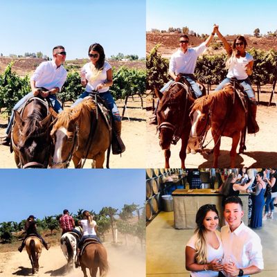 WINE COUNTRY TRAILS BY HORSEBACK - 407 Photos & 408 Reviews - Tours ...