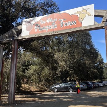 FOG WILLOW FARMS - Updated October 2025 - 484 Photos & 192 Reviews ...