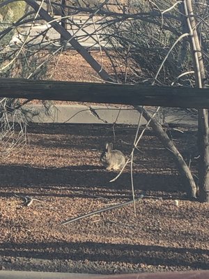 CITY OF ALBUQUERQUE OPEN SPACE VISITOR CENTER - Updated August 2024 ...