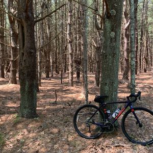 MINEOLA BICYCLE FITNESS & MOWER - Updated October 2025 - 30 Photos & 73 ...