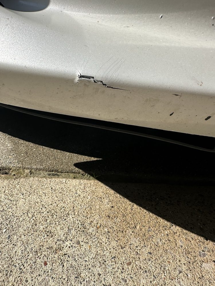 Same Day Service at Kappen Tree Service - Updated April 2025 - 2675 ...