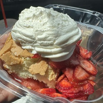 SOUTHERN BELLE FARM - Updated May 2025 - 825 Photos & 234 Reviews ...