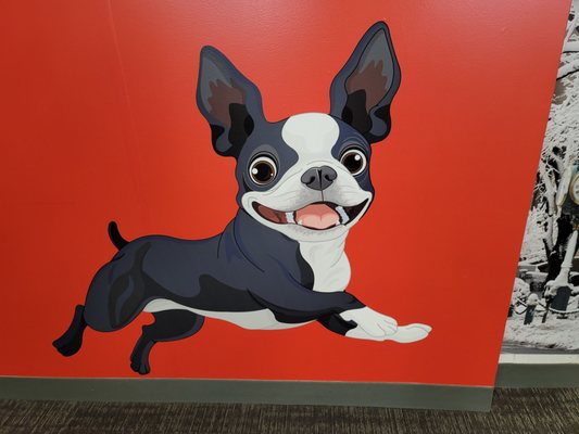 BU CAMPUS STORE - Updated December 2025 - 21 Photos & 60 Reviews - 910 ...