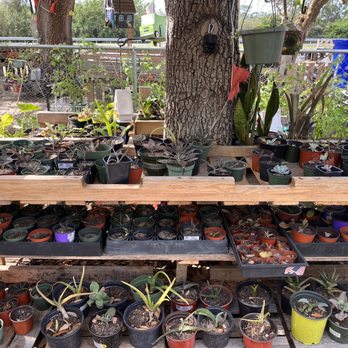 MRS MANGO & COMPANY - Updated November 2025 - 56 Photos & 28 Reviews ...