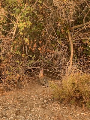 SAN JOAQUIN RIVER WILDLIFE REFUGE - Updated July 2025 - 21 Photos ...