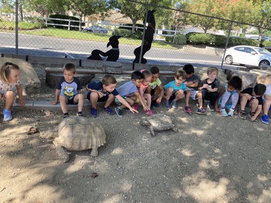 MURRIETA RANCH PRE-SCHOOL - Updated January 2026 - 35 Photos & 50 ...