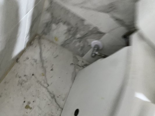 ARS / RESCUE ROOTER - Updated December 2025 - 88 Photos & 668 Reviews ...