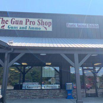 THE GUN PRO SHOP - Updated November 2025 - Talona Village Shopping Ctr ...