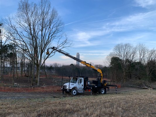 ARBOR ART TREE CARE - Updated August 2025 - 43 Photos & 11 Reviews ...