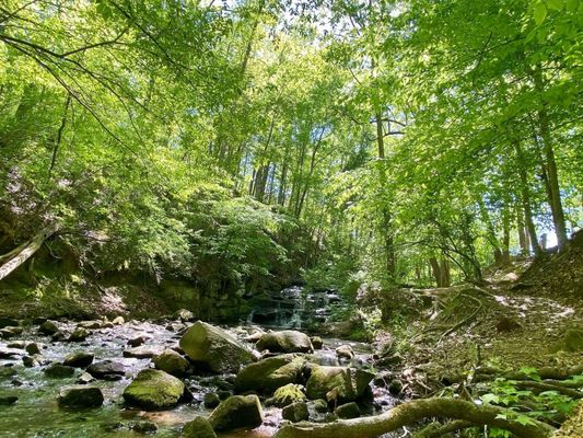 ANNE SPRINGS CLOSE GREENWAY - Updated May 2025 - 225 Photos & 65 ...