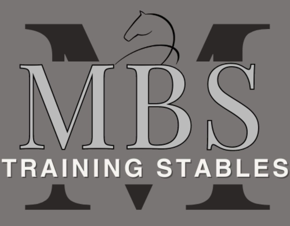 MBS TRAINING STABLES - Updated November 2025 - 8018 Crow Canyon Rd ...