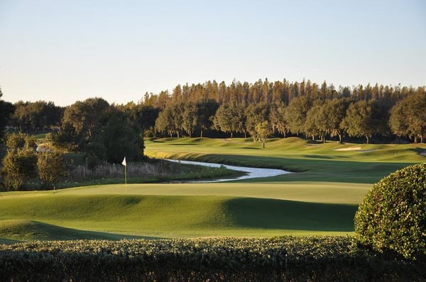 TPC TAMPA BAY - Updated November 2024 - 15 Photos & 31 Reviews - 5300 W ...