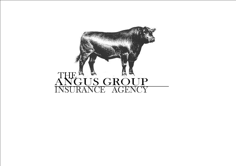 ANGUS GROUP INSURANCE AGENCY - Updated November 2024 - Request a Quote ...