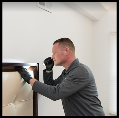 VIKING PEST CONTROL - Updated December 2025 - 61 Photos & 108 Reviews ...