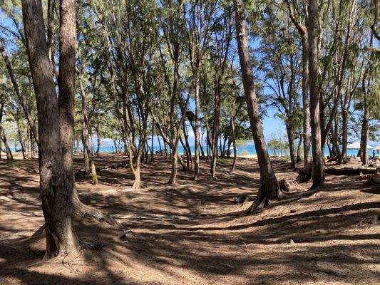 BELLOWS FIELD BEACH PARK CAMPGROUND - Updated December 2025 - 41-43 ...