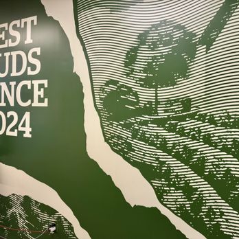 VERONA COLLECTIVE - Updated January 2026 - 12 Photos - 5250 Willow Pl ...