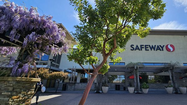 SAFEWAY - Updated December 2025 - 280 Photos & 240 Reviews - 645 San ...