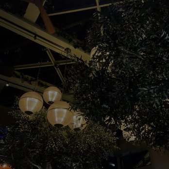 DEL MAR - Updated February 2025 - 244 Photos & 79 Reviews - 4089 The ...