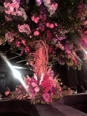 DOCKS OFF 5TH - Updated August 2025 - 54 Photos & 14 Reviews - 310 ...