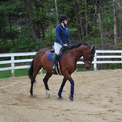 UCONN DEPARTMENT OF ANIMAL SCIENCE HORSE RIDING LESSONS - Updated ...