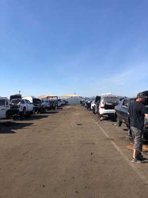 PULL N SAVE - GLENDALE - Updated October 2025 - 23 Photos & 40 Reviews ...