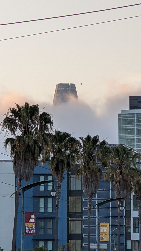 Photos of THE DOGPATCH - Updated August 2024 - 41 Photos - San ...