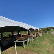 HOLMBERG ORCHARDS - 233 Photos & 80 Reviews - 12 Orchard Ln, Gales ...