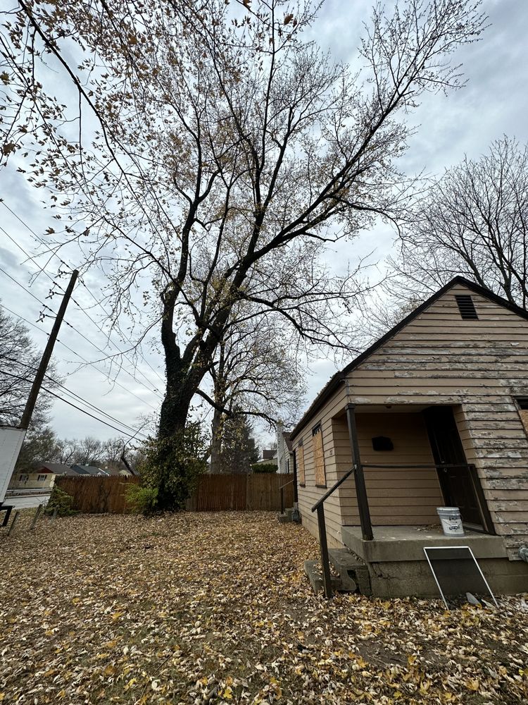 BROTHERS IN LAW TREE SERVICE - Updated August 2025 - 13 Photos ...