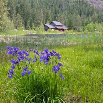 FREESTONE INN & CABINS - Updated July 2024 - 78 Photos & 33 Reviews ...