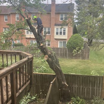 BAUTISTA LANDSCAPING - Updated January 2026 - 190 Photos & 28 Reviews ...