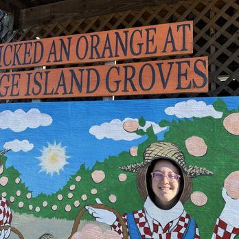 RIDGE ISLAND GROVES - Updated December 2025 - 192 Photos & 33 Reviews ...