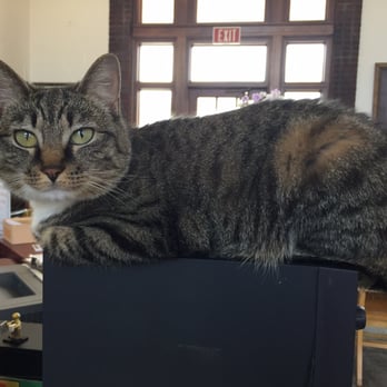 UNICOI COUNTY LIBRARY - 201 Nolichucky Ave, Erwin, Tennessee - Updated ...