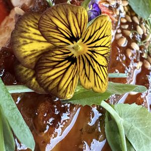 PUKALANI CLUB HOUSE RESTAURANT & BAKERY - 165 Photos & 48 Reviews - 360 ...