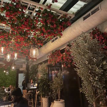 VIOLI - Updated April 2025 - 718 Photos & 277 Reviews - 260 Oakbrook ...