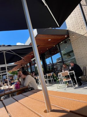 SHAKE SHACK WAVERLY PLACE - Updated November 2024 - 324 Photos & 270 ...