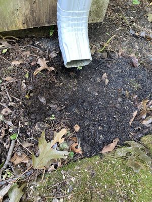 CAPE COD GUTTER MONKEYS - Updated December 2025 - 16 Photos & 26 Reviews - 20 Evergreen Cricle ...